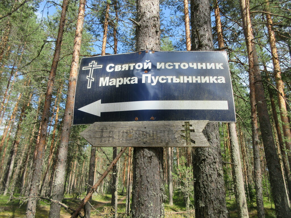 Pınar, çay Святой источник Марка Пустынника, Novgorodskaya oblastı, foto