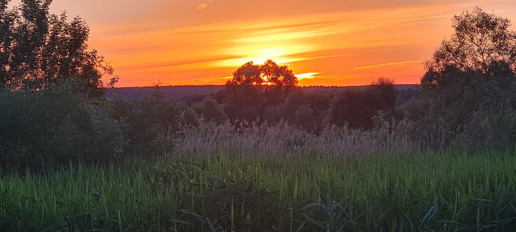 Plaj Пляж, Riazanskaya oblastı, foto