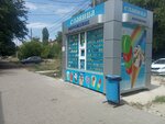 Славица (40 Let VLKSM Street No:23Б, Volgograd), dondurmacılar  Volgograd'dan