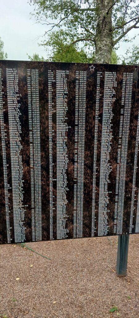 Anıt, heykel Кладбище советских воинов 1942-1943 гг., Novgorodskaya oblastı, foto