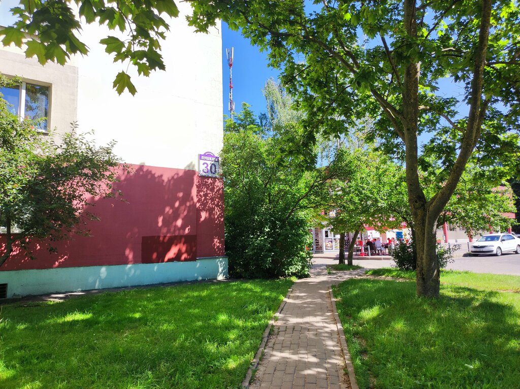 i̇nternet pazarlama şirketi Education and Study in Belarus, Minsk, foto