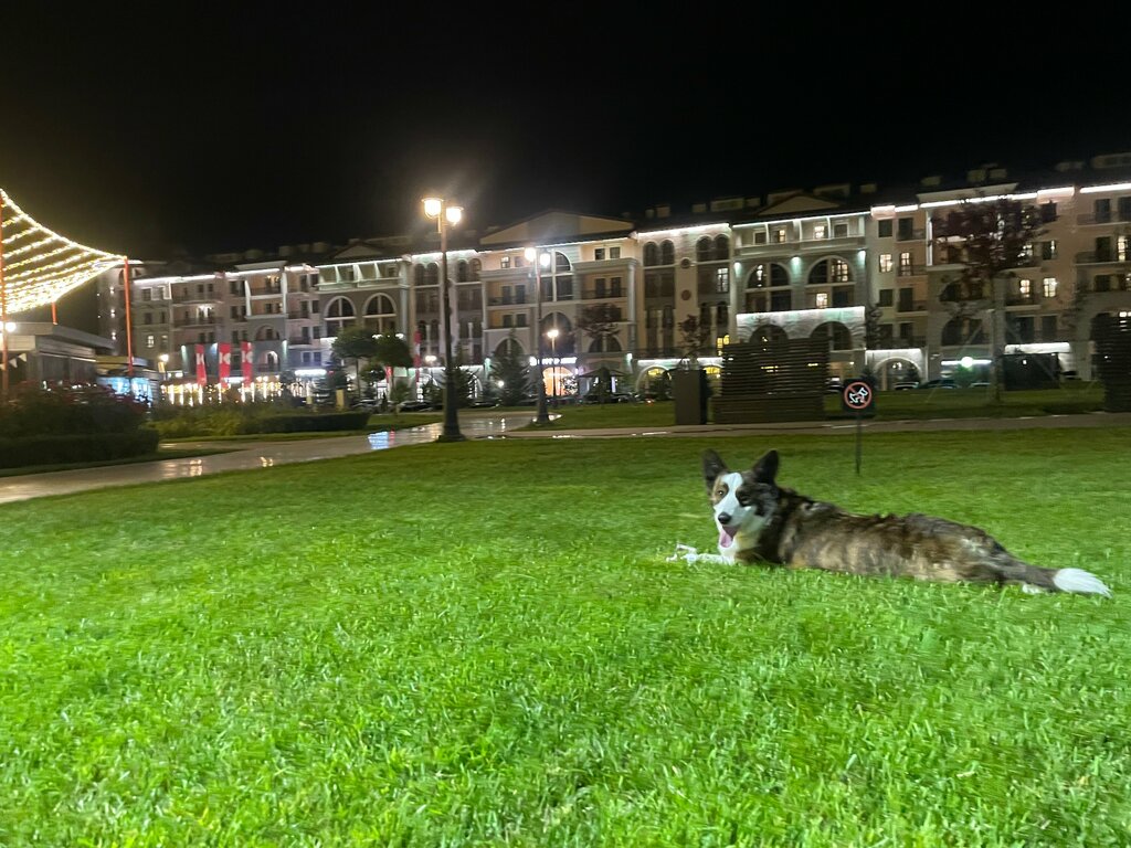Petshop Мир Фауны, Soçi, foto