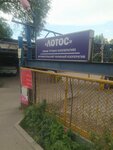 Lotos (Almaty, Vladımır Palladın kóshesi), garajlar  Almatı'dan