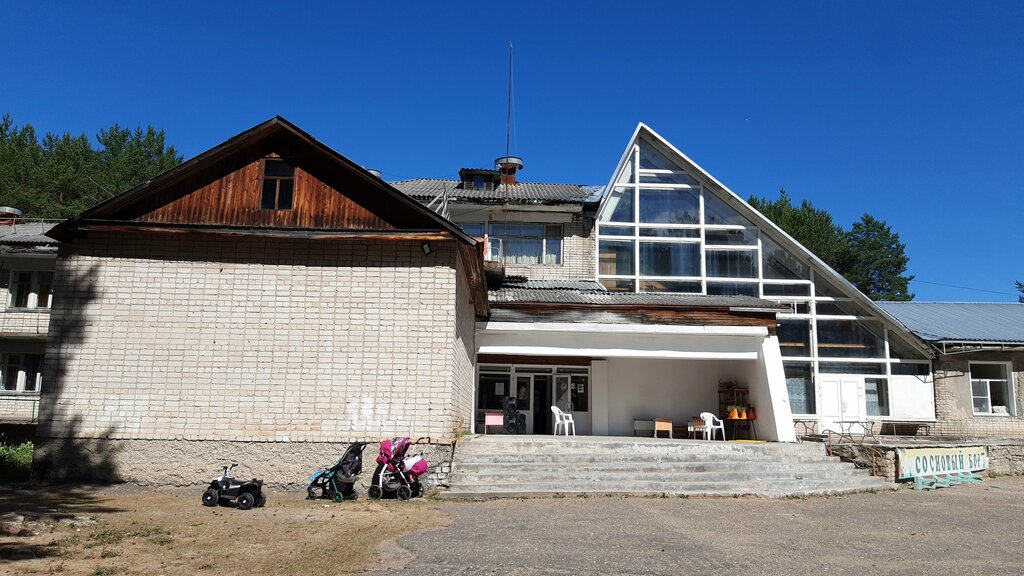 Yaz kampı Сосновый бор, Kirovskaya oblastı, foto