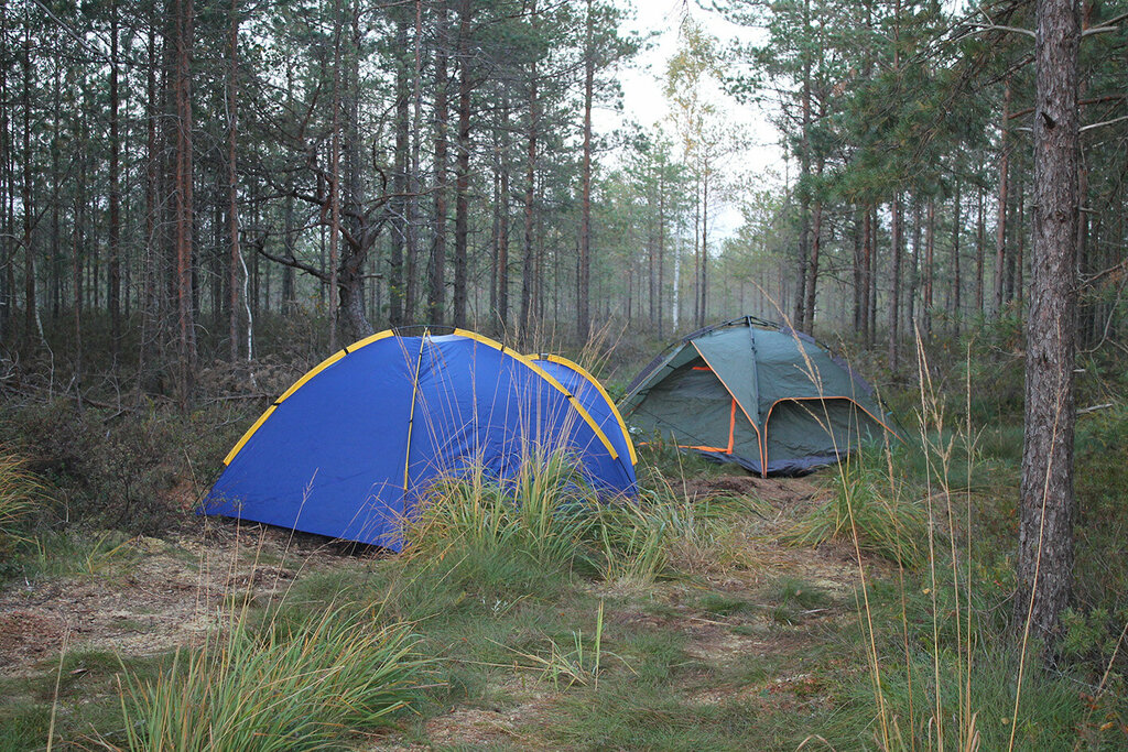 Doğa koruma alanı zakaznik respublikanskaga znachennia Zhada, Vitebskaya oblastı, foto