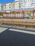 Микрорайон Олимпийский (Belgorod Region, Stariy Oskol, Starooskolskiy skorostnoy tramvay), toplu taşıma durağı  Stariy Oskol'dan