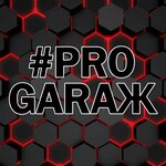 ProGarazh (Nizhegorodskaya Street No:8), oto yıkama  Petuşki'den