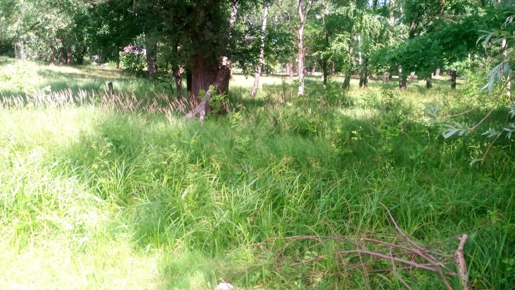 Meydan Белорусский сквер, Voronej, foto