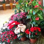 I Fiori di Cristina e Paola (Strada Folciona No:7, Voghera), çiçek teslimatı  Voghera'dan