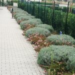 Sempreverdi (Emilia-Romagna, Parma, Strada Commenda, 47), bahçe ekipmanları ve teknolojileri  Emilia‑Romagna'dan
