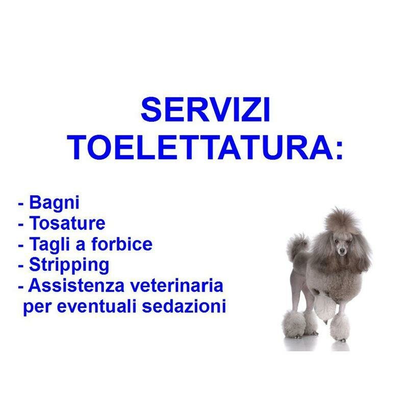 Veteriner klinikleri Clinica Veterinaria Croce di Gussago, Lombardiya, foto