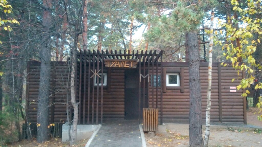 Çocuklar için kutlama organizasyonları Туалет, Novosibirsk, foto