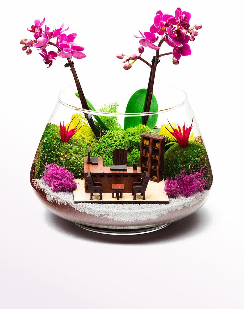 Çiçekçiler Çiçek Garaj; Teraryum, Solmayan Gül, Bonsai ve Çiçek Siparişi, İstanbul, foto
