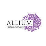 Allium (Lesnaya Street No:12, Yubileyniy Microdistrict), çiçekçiler  Koroliov'dan