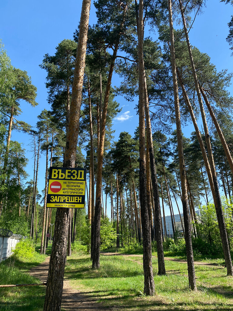 Orman Saul Forest, Orehovo‑Zuyevo, foto