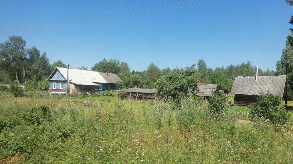 Bank Bench, Vitebskaya oblastı, foto