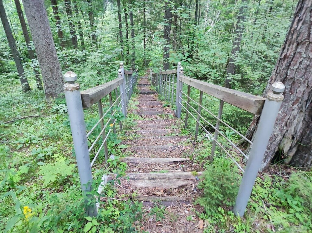Kuyu Святой источник Николая Чудотворца, Smolenskaya oblastı, foto