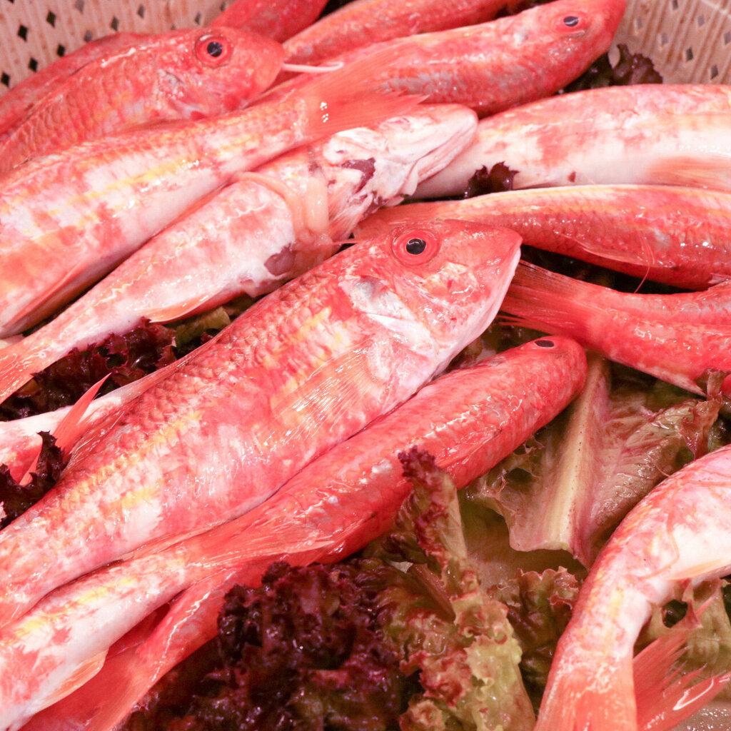 Balık ve deniz ürünleri Yeşilköy Balikçisi, İstanbul, foto