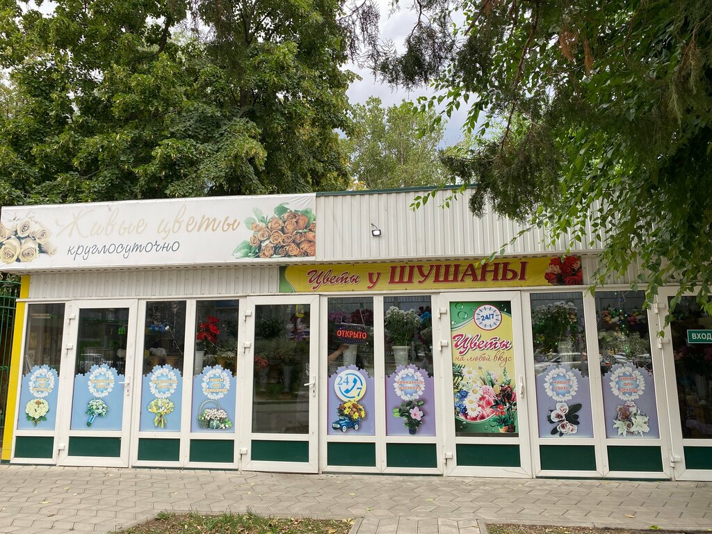 Çiçekçiler У Шушаны, Nevinnomissk, foto