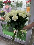 Pion (Sovetskaya ulitsa No:10, selo Livenka), çiçekçiler  Belgorodskaya oblastından