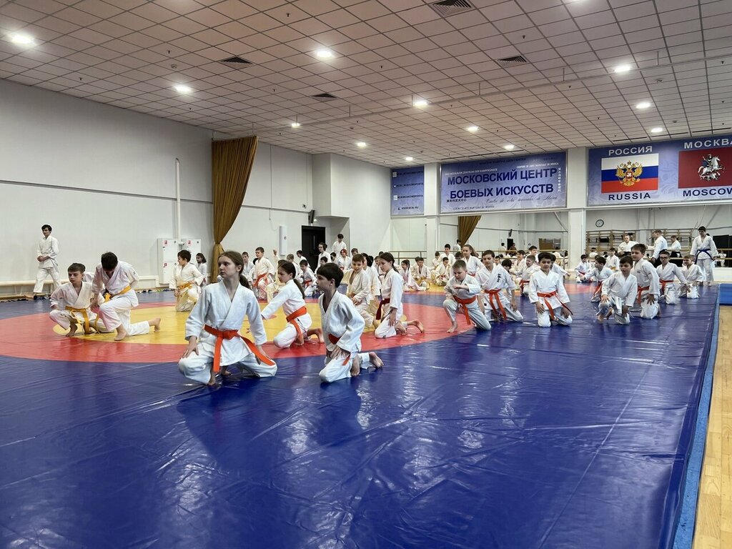 Spor kulüpleri Aikidoteam, Moskova, foto
