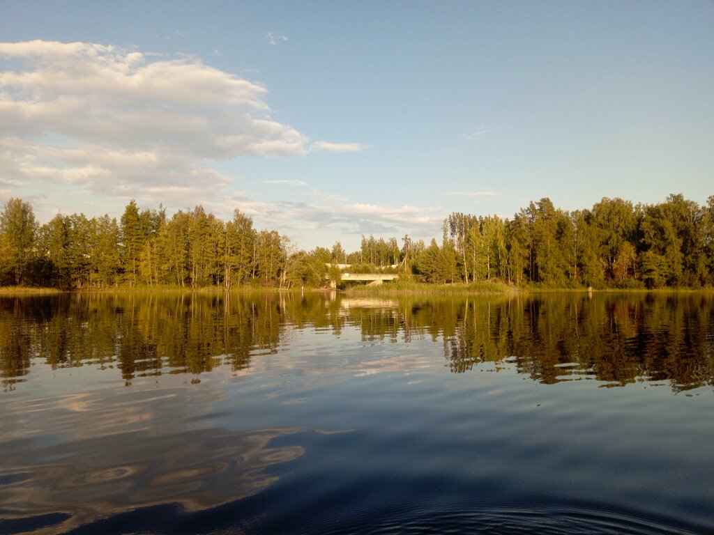 i̇skele Jetty , Saint‑Petersburg ve Leningradskaya oblastı, foto