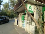 Aptek (Khaliga Gasimov Street No:4), eczaneler  Bakü'den