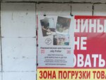 July Potter (Antonova-Ovseenko Street No:59А), çömlek atölyesi  Samara'dan