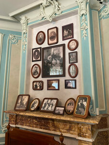 Oranienbaum Palace and Park Ensemble (St. Petersburg, Lomonosov, Upper Park), müzeler ve sanat galerileri  Lomonosov'dan