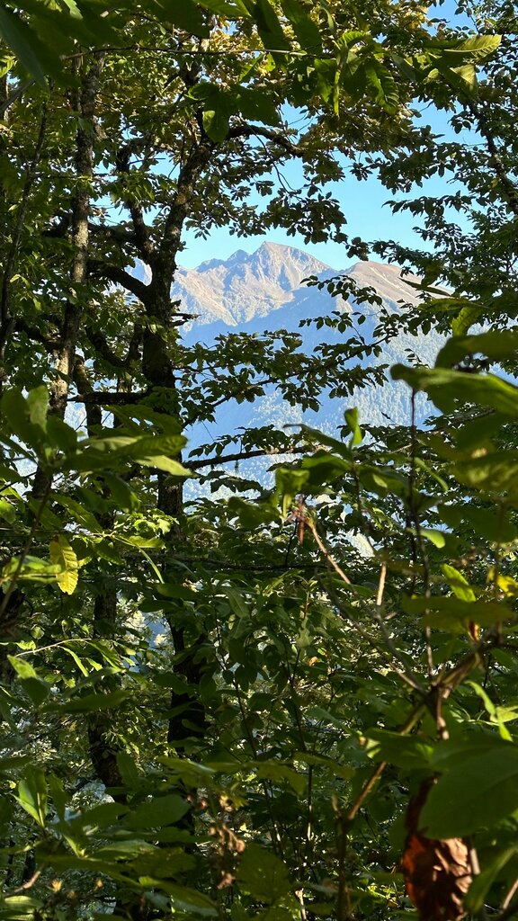 Dağ zirvesi Высота 1154 метра, Soçi, foto