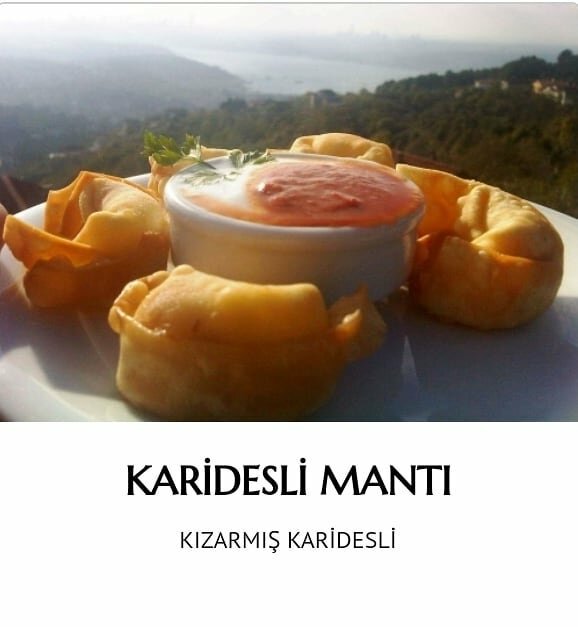Restoran Kütük Ev Mantı Keyfi, İstanbul, foto