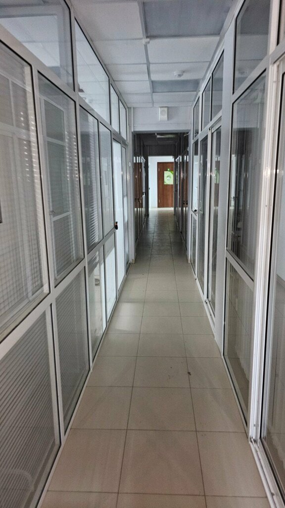 Firma açılışı ve tasfiye işlemleri Арбитражный управляющий Баишева Л. М., Yakutsk, foto