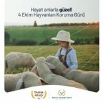 Tarım Kredi Yem Sanayi (Ankara, Yenimahalle, Beştepe Mah., Nergiz Sok., 7), evcil hayvan yemi üretimi  Ankara'dan