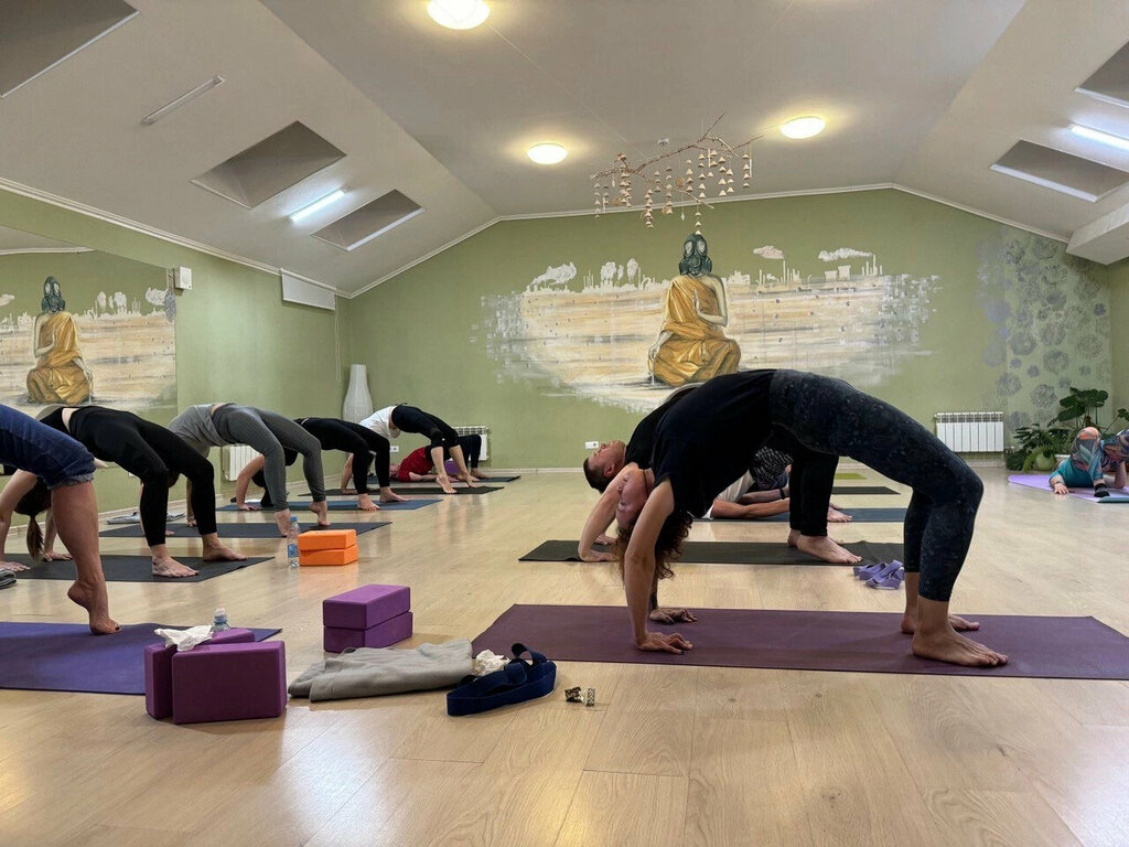 Yoga stüdyosu Йога-студия Черепаха, Cherepovets, foto