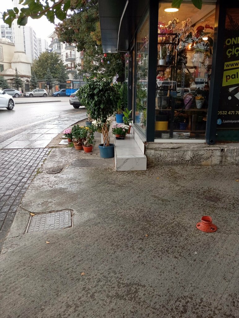 Çiçekçiler Palmiye Çiçekçilik, Ankara, foto