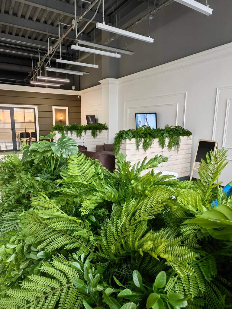 Yapay bitki ve çiçek Inside nature, Novosibirsk, foto