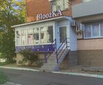 BloozKa (ulitsa Karla Marksa No:2), giyim mağazası  Maykop'tan