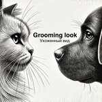 Grooming look (Pervomayskaya ulitsa No:6/8), evcil hayvan kuaförleri  Saratov'dan