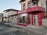 Nemilly (strada Carol Schmidt No:8, municipiul Bălţi), bijuteriler  Beltsi'den