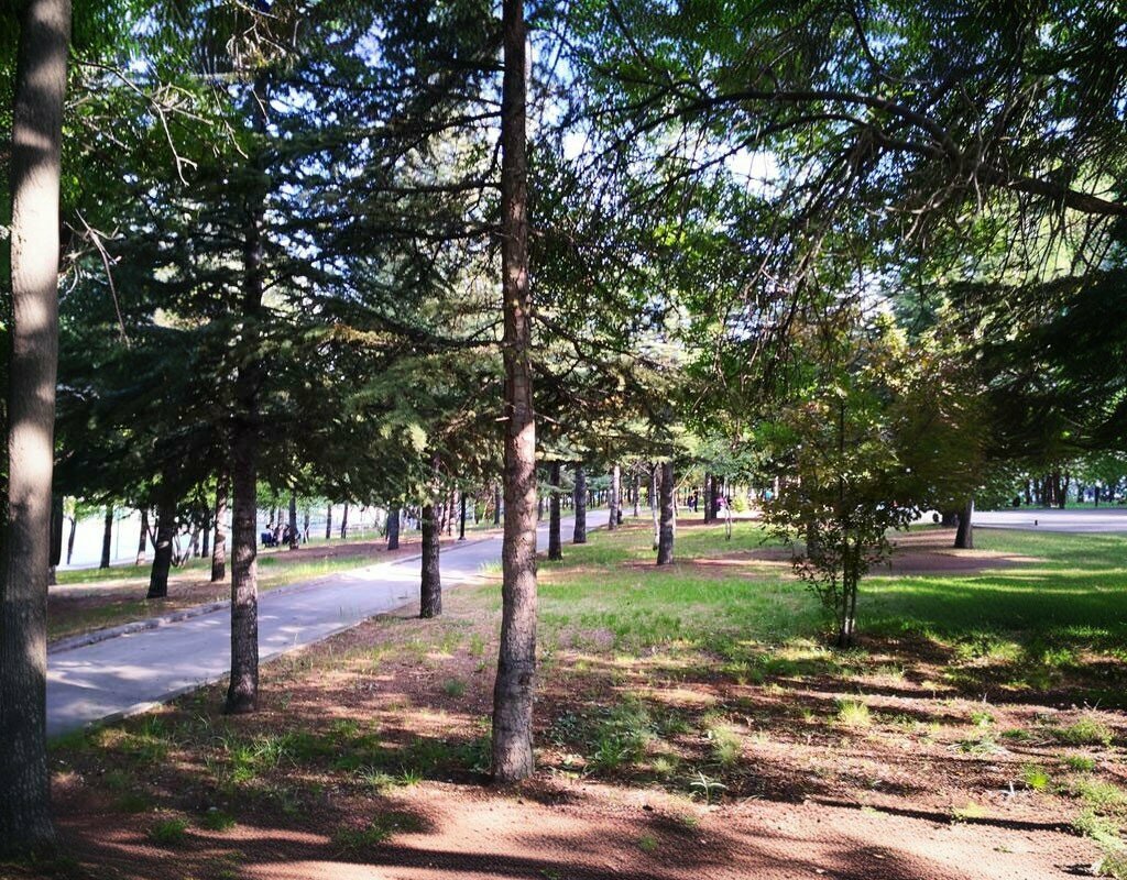 Kültür ve eğlence parkları Çankaya Belediyesi Ahlatlıbel Atatürk Parkı, Ankara, foto