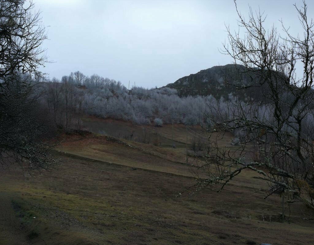 Muhtarlıklar Akgün Köy Muhtarlığı, Erbaa, foto