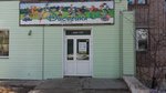 Disneyka (Gor'kogo Street No:63к1), anaokulları  Kirov'dan
