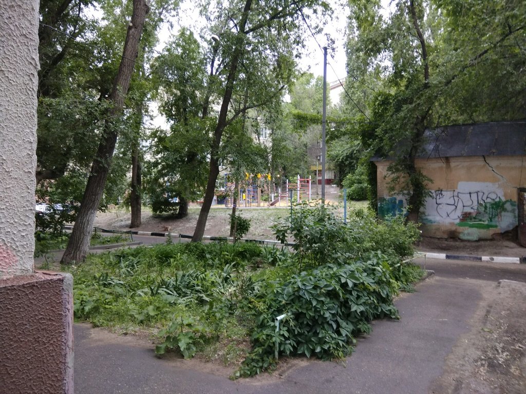 Oyun alanı Детские игровые залы и площадки, Saratov, foto