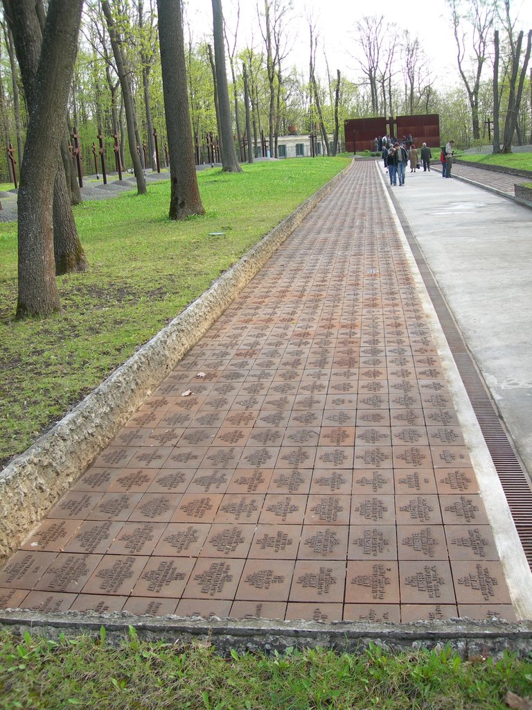 Mezarlıklar Victims of Totalitarianism Cemetery in Kharkiv, Harkiv, foto