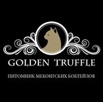 Golden Truffle - cattery of mekong bobtails (Beskudnikovsky Boulevard No:21к1), evcil hayvan yetiştiricileri  Moskova'dan