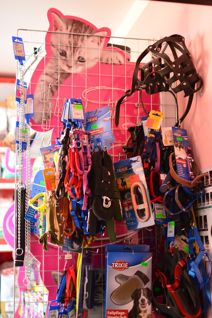 Petshop Зоотовары, Grodno, foto