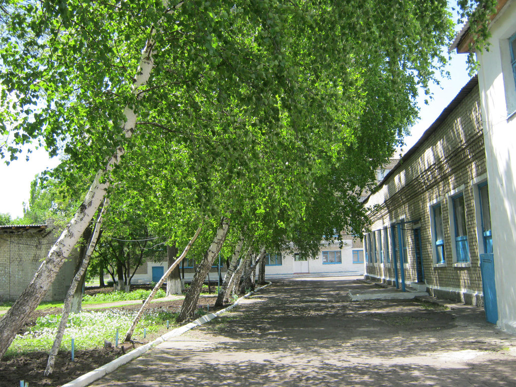 Mesleki ve teknik anadolu lisesi Профессионально-техническое училище №42, Antracit, foto