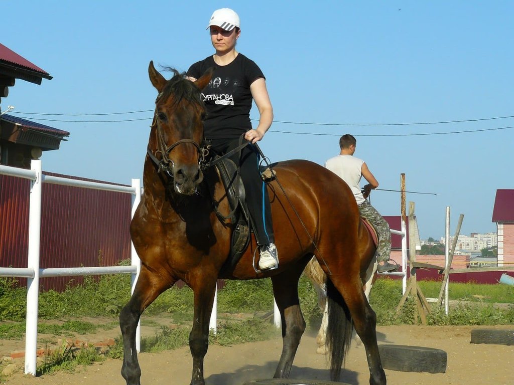 At ve binicilik kulüpleri Piaff, Vladimirskaya oblastı, foto