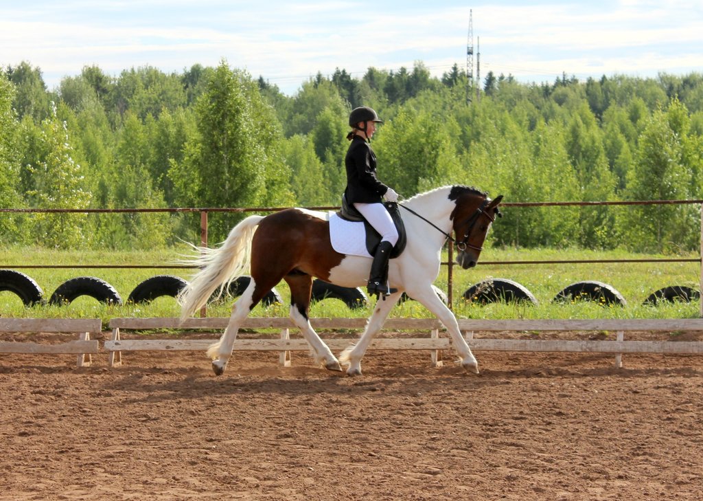 At ve binicilik kulüpleri Вятка, Kirov, foto