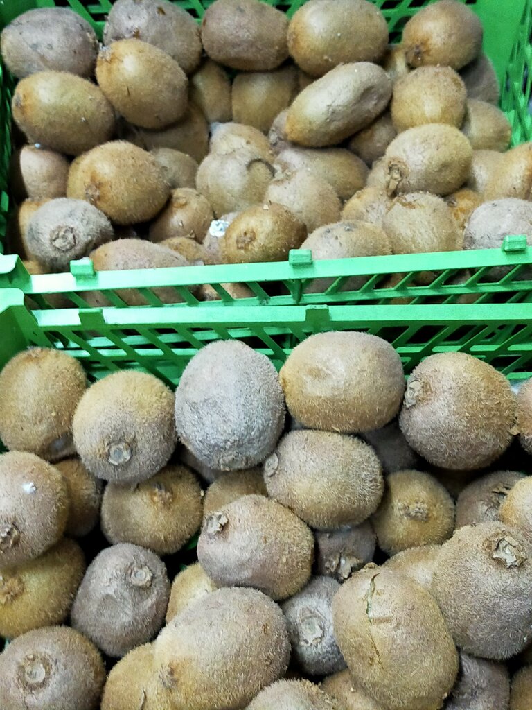Market Светофор, Syçovka, foto